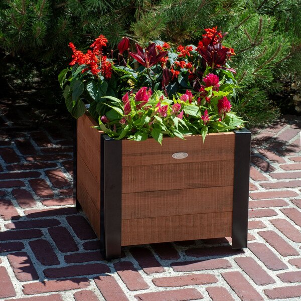 Grapevine Low Profile Planter, FSC Recycled Wood, Square, Natural Brown