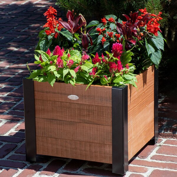 Grapevine Low Profile Planter, FSC Recycled Wood, Square, Natural Brown